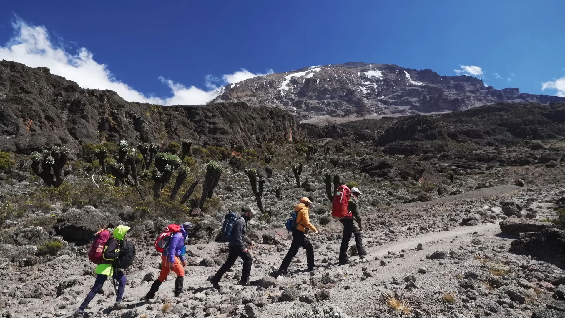 8 Days Kilimanjaro Climb Via Lemosho Route - Serengeti African Tours