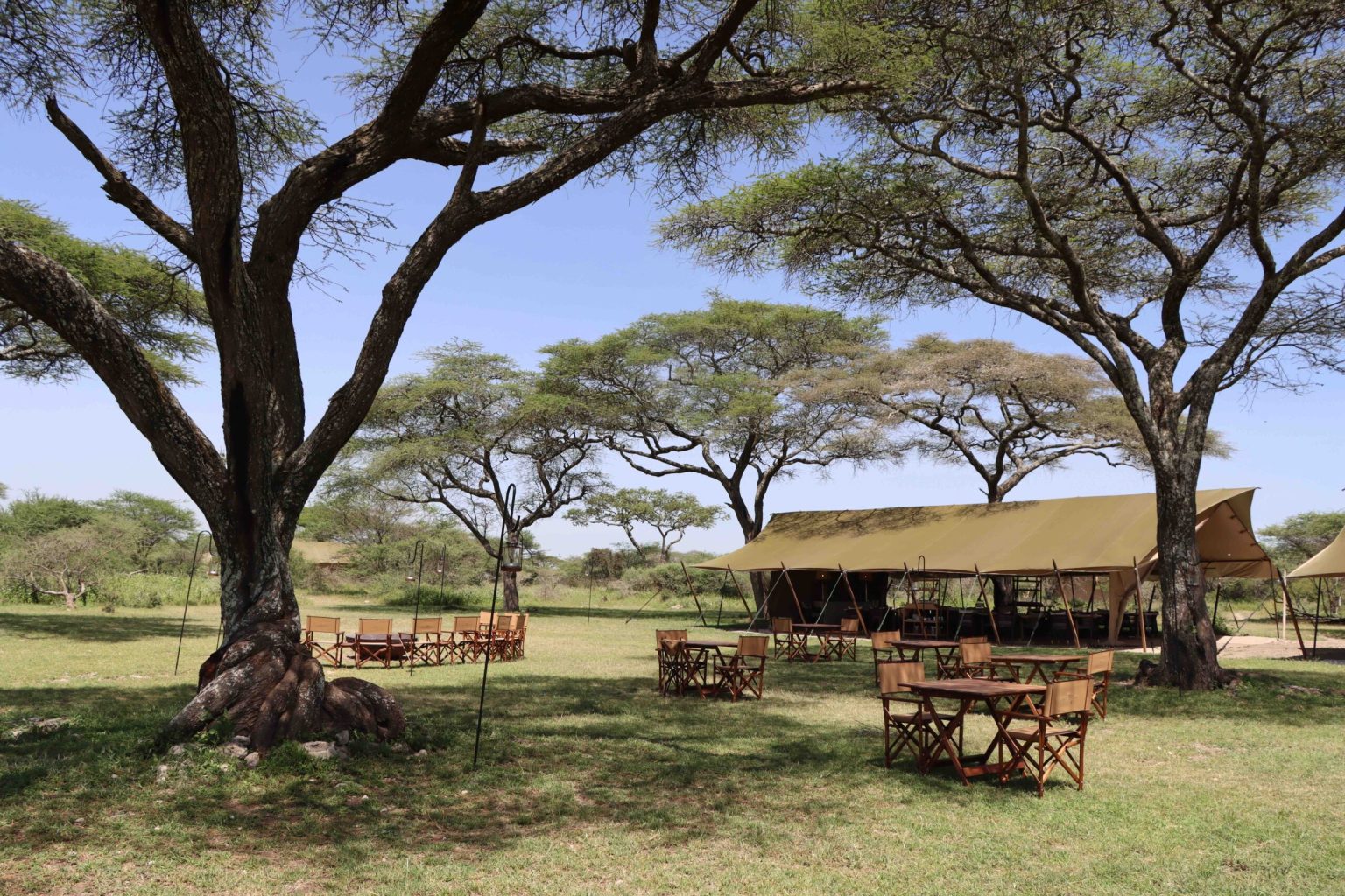 Untamed Ndutu Migration Camp - Serengeti African Tours